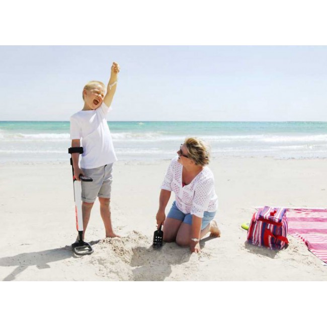 Металлоискатель Minelab Go-Find 20 купить в Бердске. Низкая цена ...